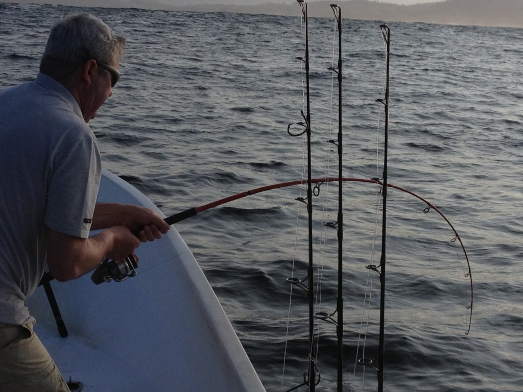 COSTA RICA, PAYS DU MYTHIQUE POISSON COQ - GP Voyages