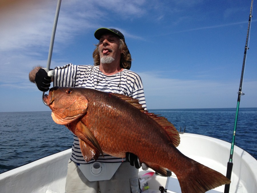 COSTA RICA, PAYS DU MYTHIQUE POISSON COQ - GP Voyages