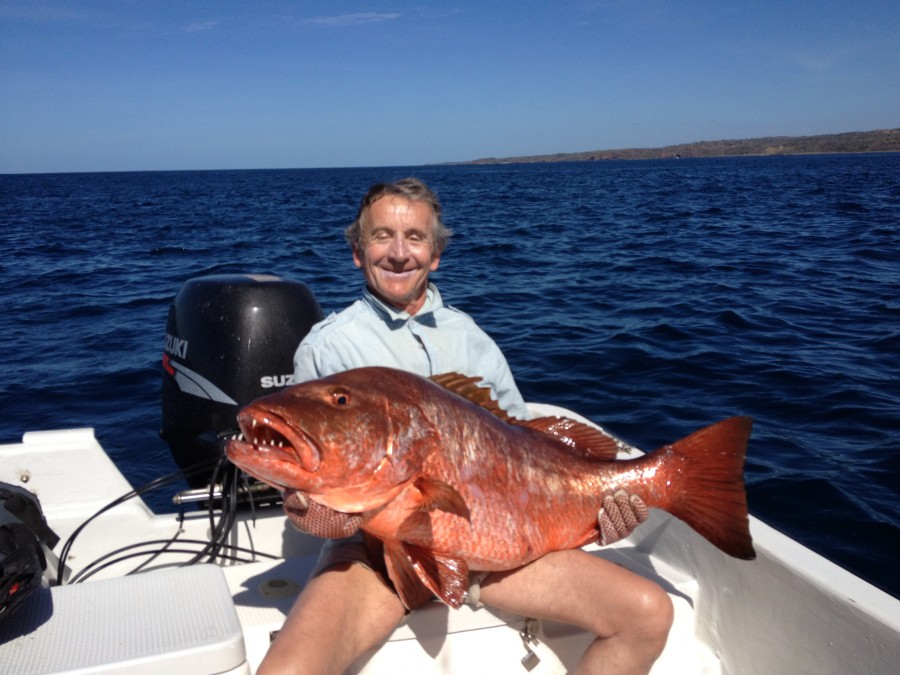 COSTA RICA, PAYS DU MYTHIQUE POISSON COQ - GP Voyages
