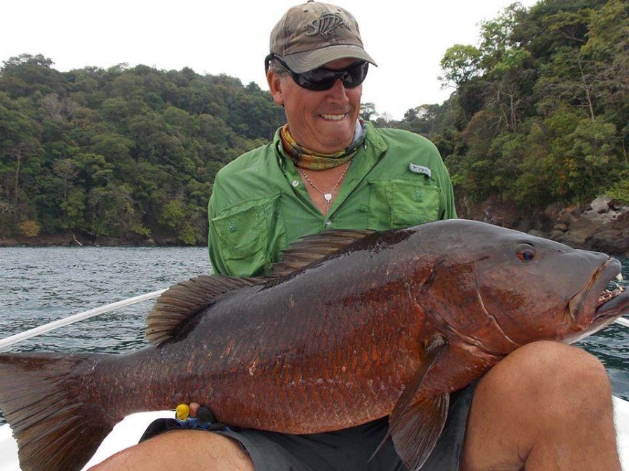 COLOMBIE - Côte Pacifique - GP Voyages