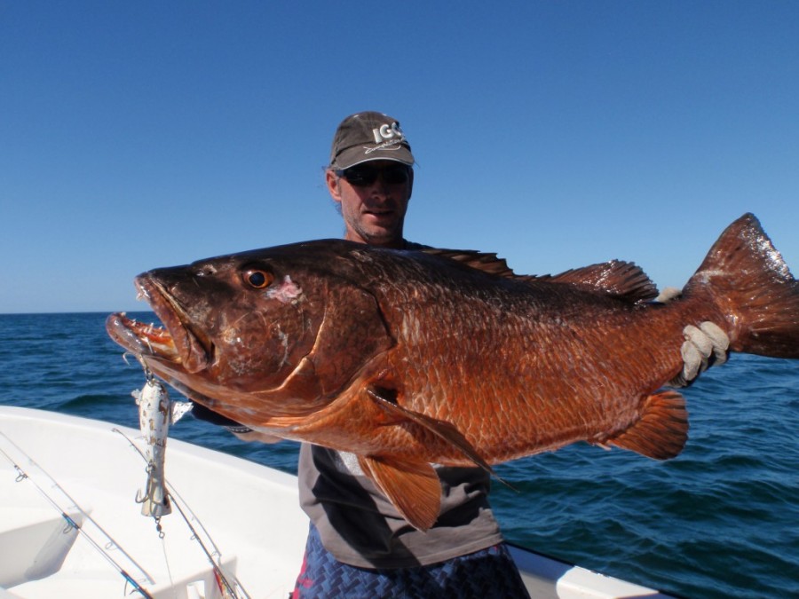 COSTA RICA, PAYS DU MYTHIQUE POISSON COQ - GP Voyages