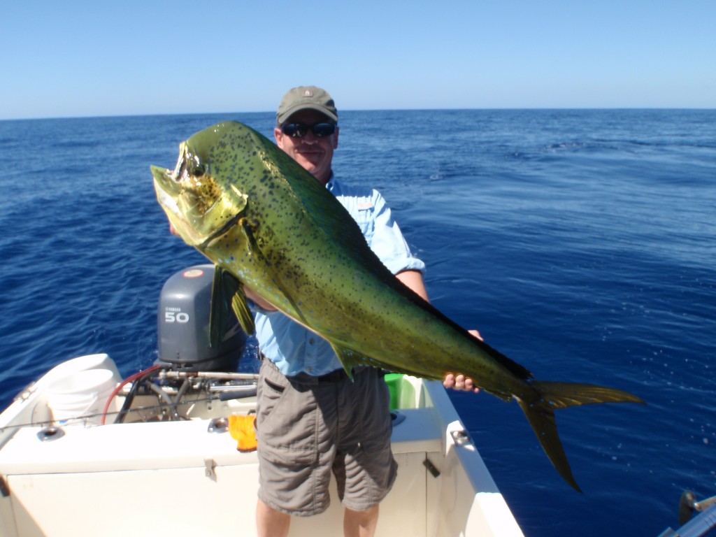 COSTA RICA, PAYS DU MYTHIQUE POISSON COQ - GP Voyages
