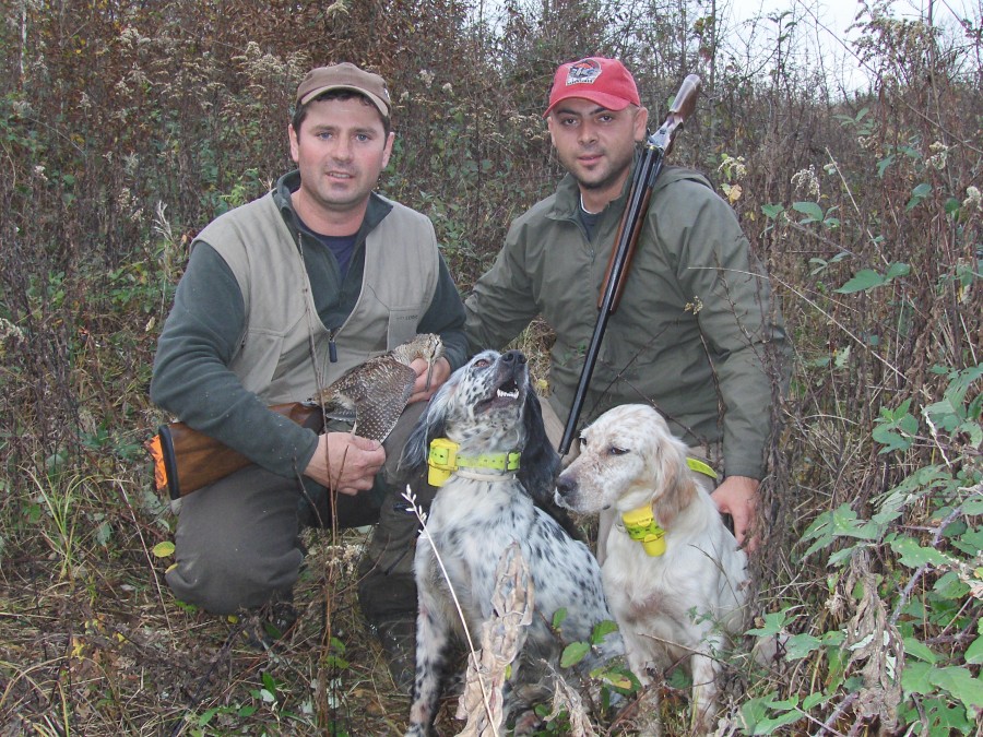 guide chasse becasses bosnie - GP Voyages