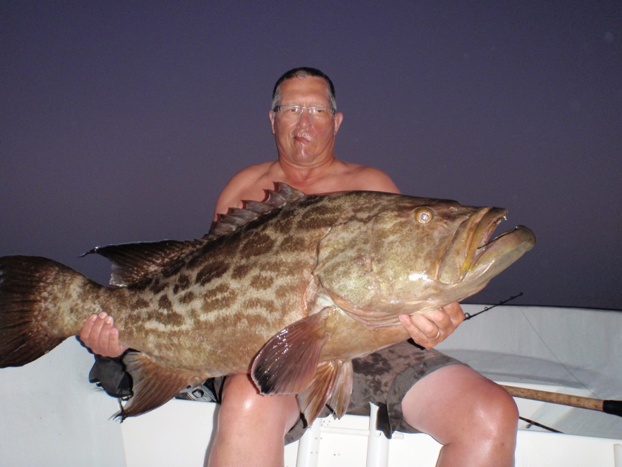 COSTA RICA, PAYS DU MYTHIQUE POISSON COQ - GP Voyages